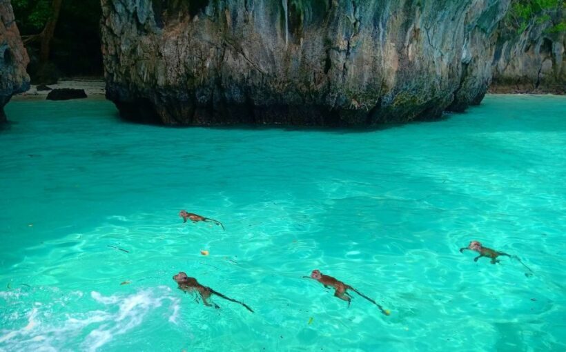 Phi Phi: Sunrise & Beat The Crowds to Maya Bay by Speedboat - A Deep Dive into the Experience
