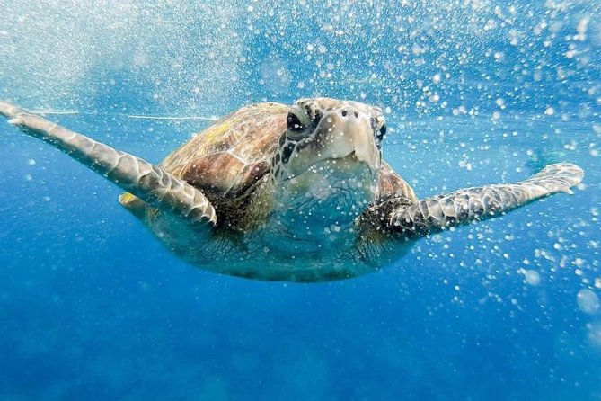 Phi Phi Tour from Krabi - Small Group of 12 - All Includes - Key Points