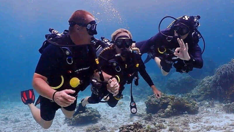phi phi : try scuba diving from beach for beginners - What We Love About This Tour