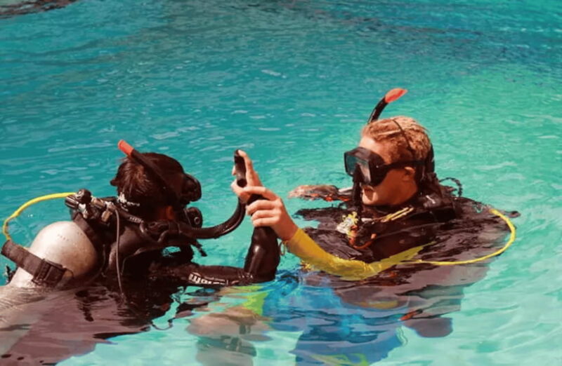 phi phi : try scuba diving from beach for beginners - Final Thoughts: Who Should Consider This Experience?