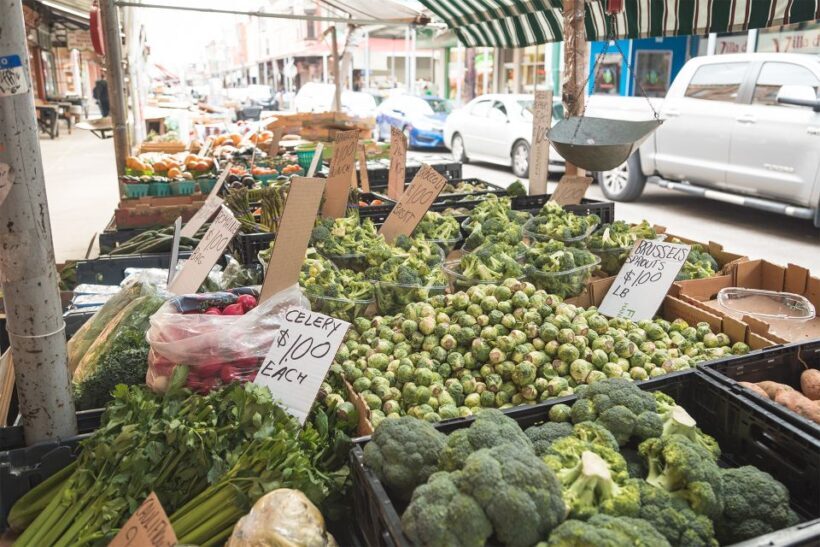 Philadelphia: Italian Market Walking Food Tour - The Experience: What Travelers Are Saying