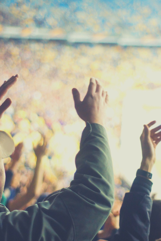 Philadelphia: Philadelphia Eagles Football Game Ticket - How the Ticket Works and What It Offers