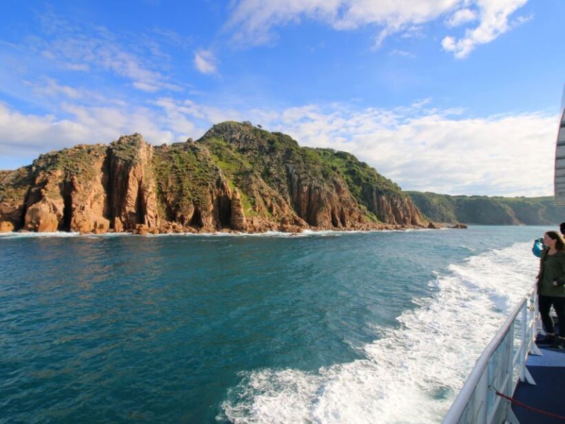 Philip Island: Dolphin and Whale Cruise - The Importance of Flexibility and Realistic Expectations