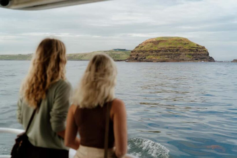 Philip Island: Seal Watching Cruise - An In-Depth Look at the Seal Watching Cruise