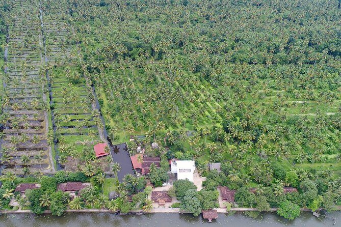 Philipkutty's Farm Culinary Tour including Lunch and Cooking Demo - Final Thoughts: Who Should Consider This Tour?