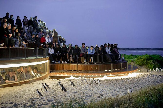 Phillip Island and French Island Wildlife Expedition - Key Points