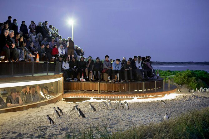 Phillip Island Day Trip from Melbourne with Penguin Plus Viewing Platform - Introduction: What Is This Phillip Island Tour All About?