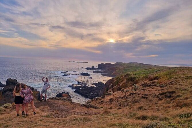 Phillip Island Departure Penguin Parade Tour with Winery Feast - The Sum Up