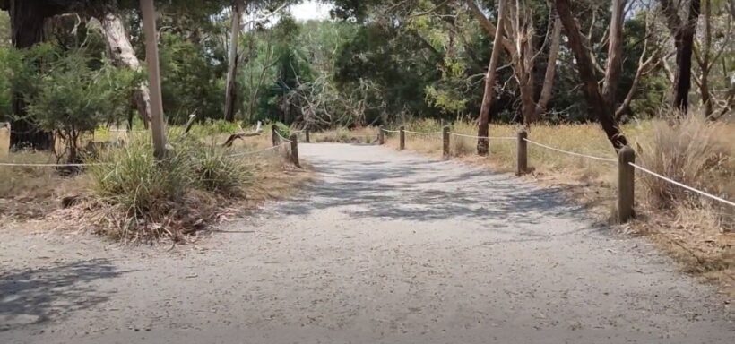 Phillip Island Driving Tour with an APP - Exploring Phillip Island with a Driving Tour and App