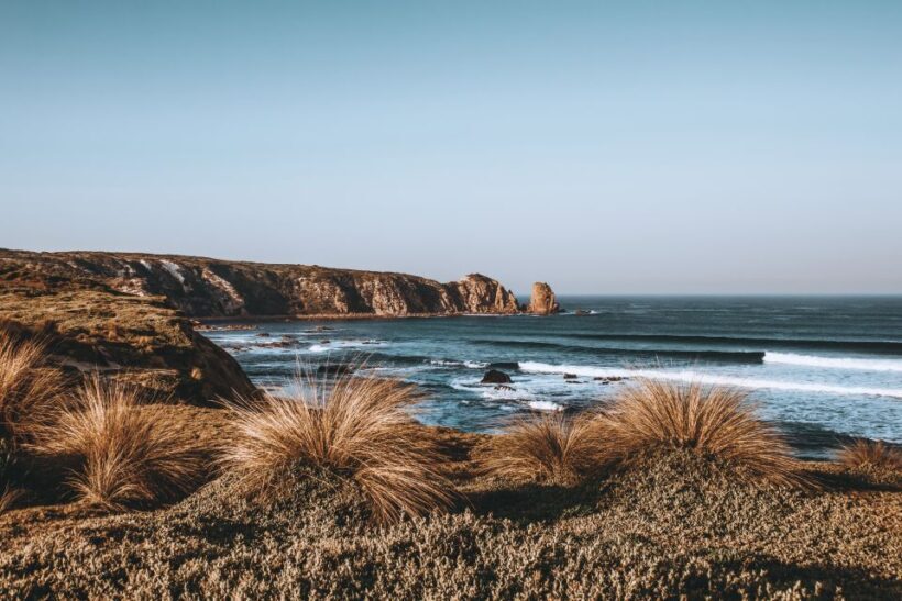 Phillip Island: Hike and Penguin Parade - 8 pax Small Tour - Key Points