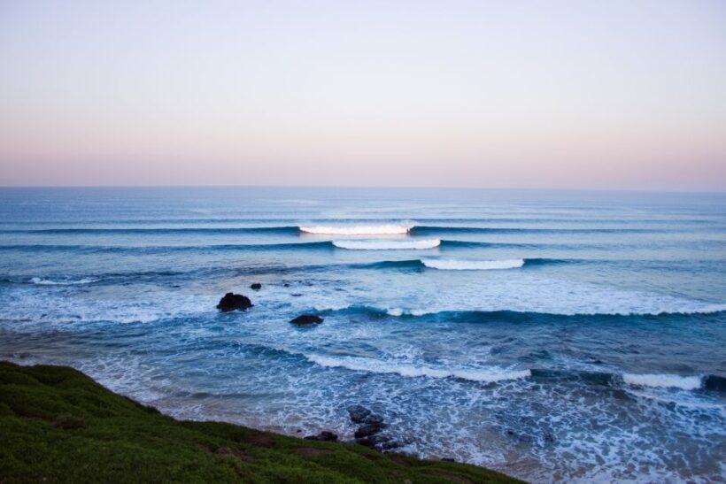 Phillip Island: Hike and Penguin Parade - 8 pax Small Tour - An In-Depth Look at the Tour Experience