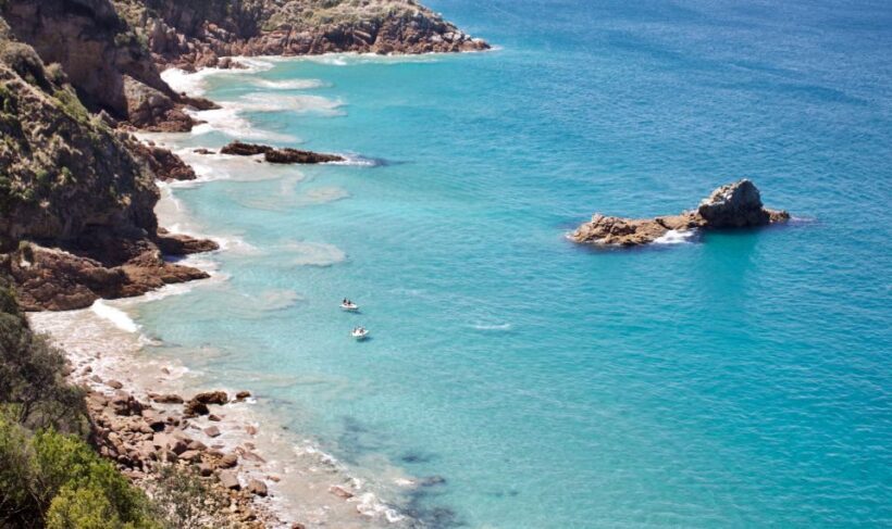 Phillip Island: Hike and Penguin Parade - 8 pax Small Tour - Final Thoughts: Is It Worth It?