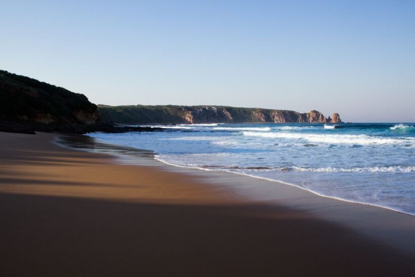 Phillip Island: Hike and Penguin Parade - 8 pax Small Tour - FAQ