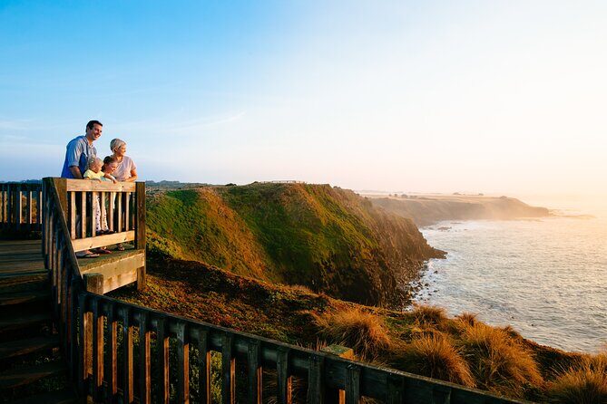 Phillip Island Penguin and Koala Highlights Day-Trip from Melbourne - Key Points