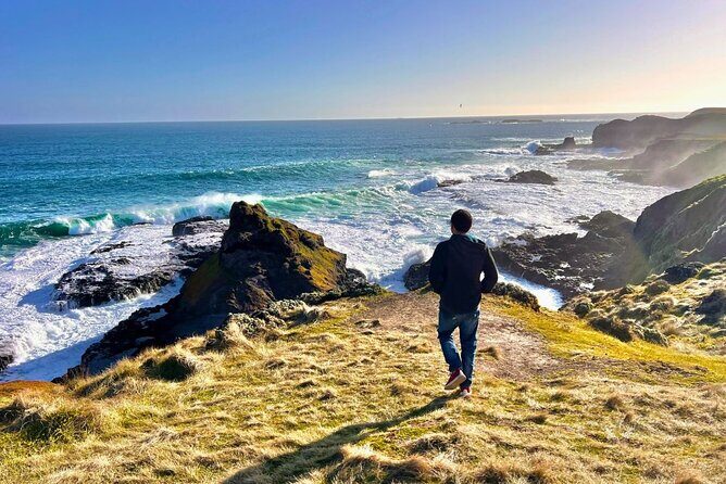 Phillip Island & Penguin Parade Afternoon Eco Tour from Melbourne - A Well-Organized, Action-Packed Day