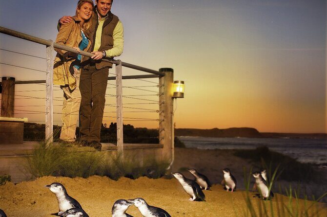 Phillip Island & Penguin Parade Afternoon Eco Tour from Melbourne - The Stops and What You Can Expect