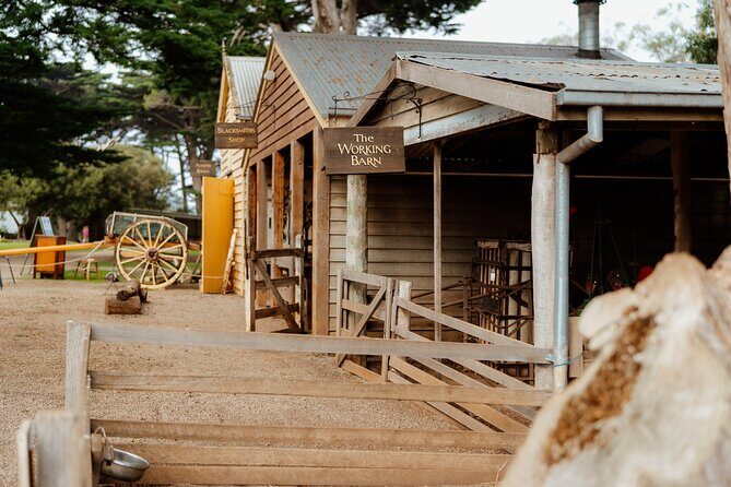 Phillip Island Penguin Parade and Churchill Island Farm Bus Tour - FAQs
