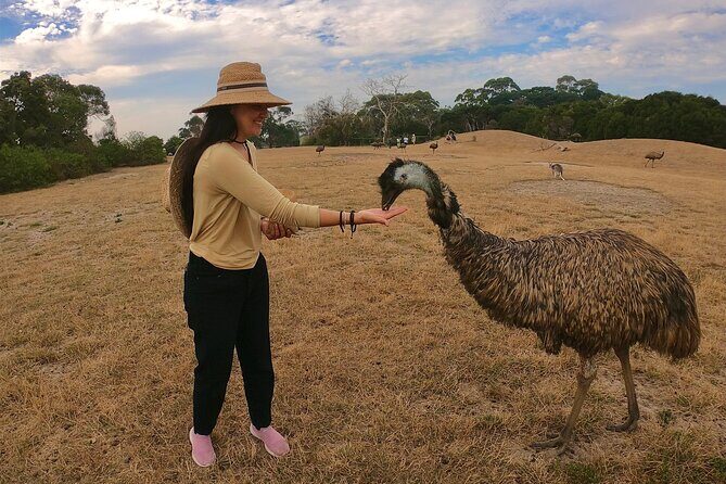 Phillip Island Penguin Parade and Wildlife Tour from Melbourne - The Transportation & Group Dynamics