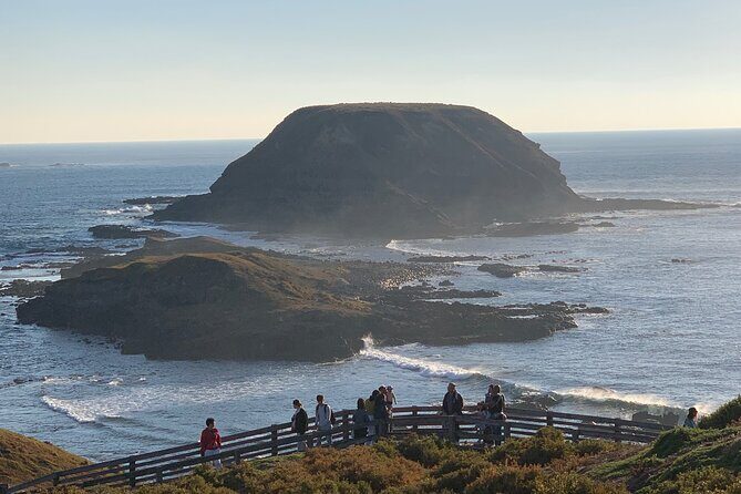 Phillip Island Penguin Parade and Wildlife Tour from Melbourne - Overall Value & Practical Considerations