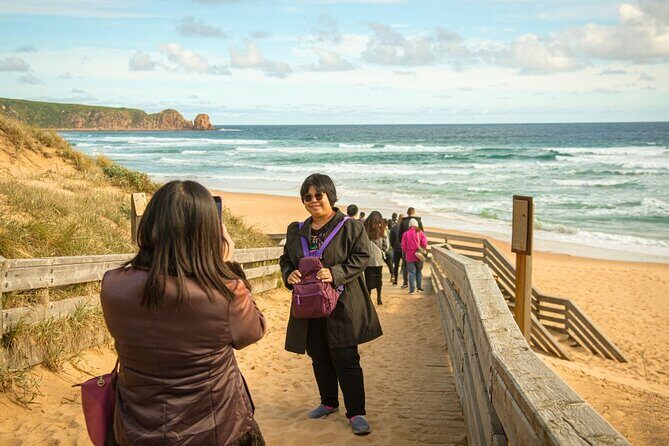 Phillip Island Penguin Parade Express Tour from Melbourne - Key Points