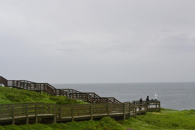 Phillip Island Penguin Parade Private Tour - The Sum Up