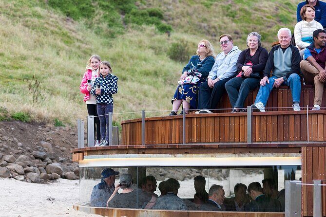 Phillip Island Penguin Parade Tour max 11 Hotel Pickup - Key Points