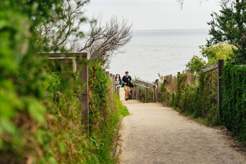 Phillip Island Penguin Parade with Expert Local Guide - What Reviews Tell Us