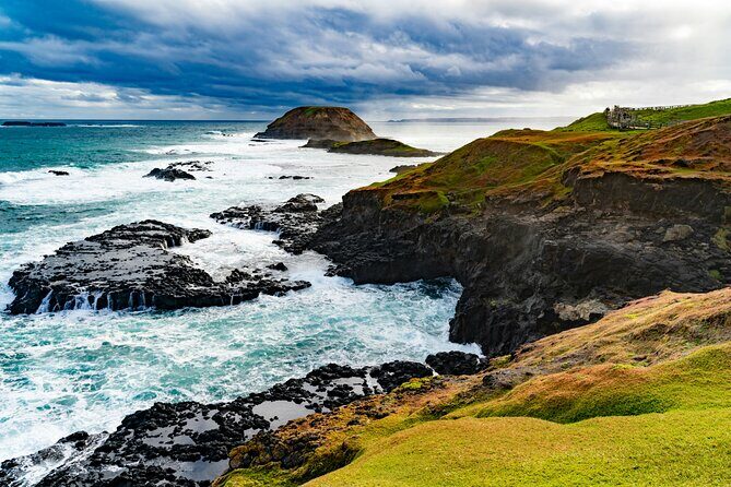 Phillip Island Private Tour: Penguin Parade & Wildlife Day - Introduction