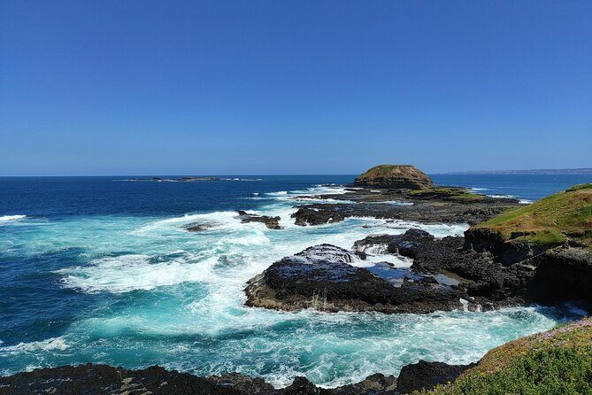 Phillip Island Private Tour: Penguin Parade & Wildlife Day - The Penguin Parade: A Nighttime Spectacle