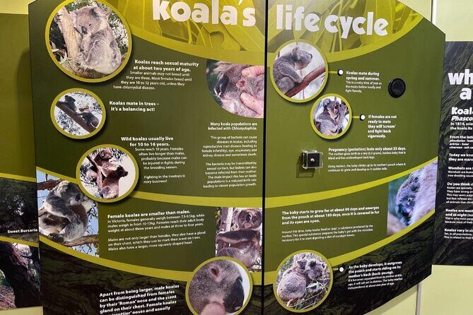 Phillip Island Private Tour: Penguin Parade & Wildlife Day - Scenic Highlights & Photo Opportunities
