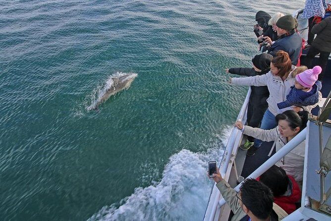 Phillip Island Whale Watching Tour - FAQs