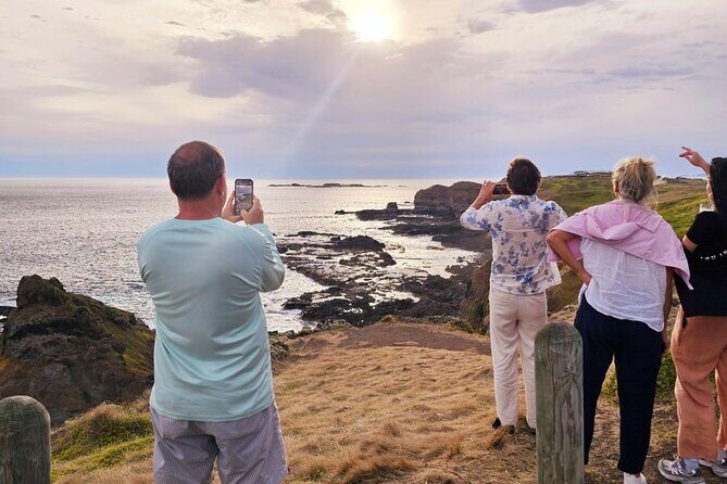 Phillip Island Wildlife Cruise and Penguin Tour from Melbourne - The Real Traveler Experience
