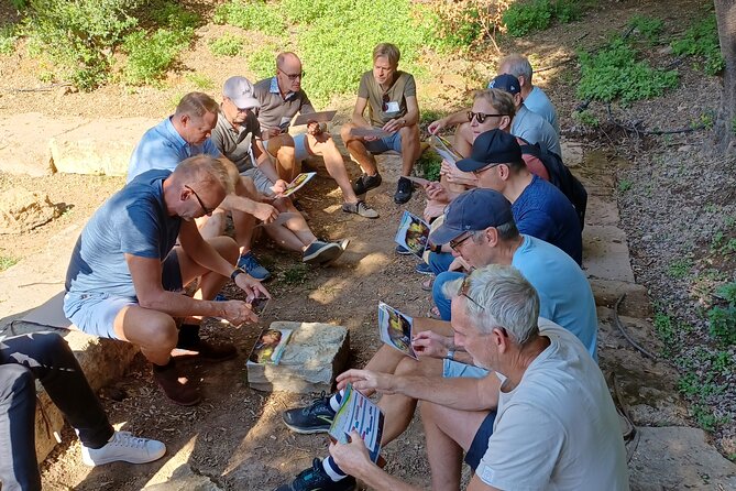 Philosophy Experience at Plato's Academy Park - basic version - Authentic Insights from Reviews