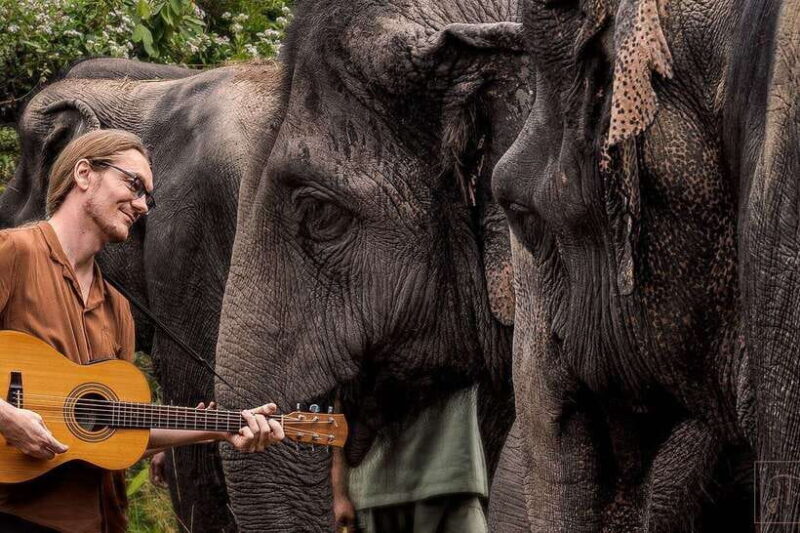 Phnom Kulen Park: Tour with Elephant Forest from Siem Reap - Discovering Phnom Kulen Park: A Day Trip from Siem Reap