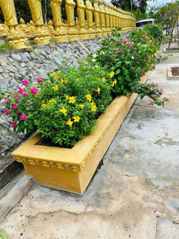 Phnom Penh: Buddha Kiri and Phnom Tamao Zoo Private Day Trip - The Practicalities: What You Need to Know