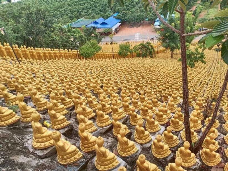 Phnom Penh: Buddha Kiri and Phnom Tamao Zoo Private Day Trip - The Sum Up