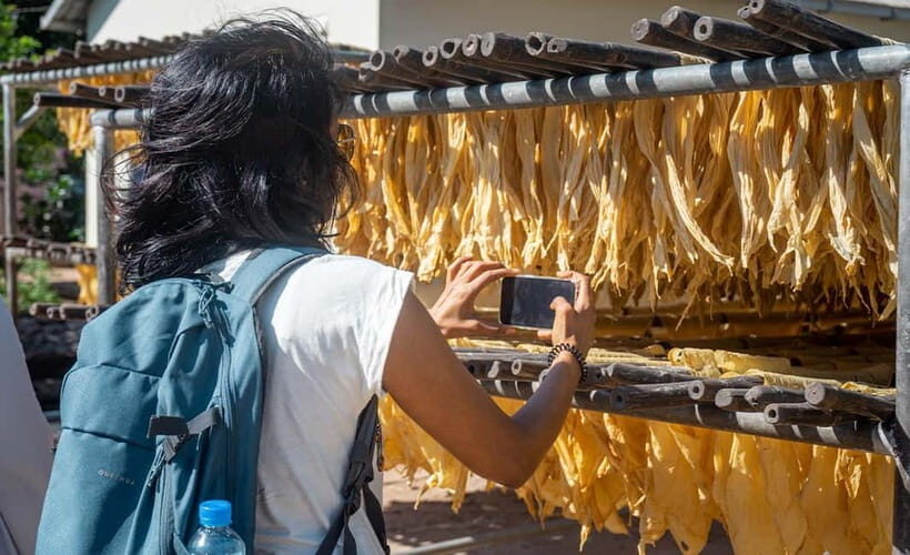 Phnom Penh Haft Day Tour to Silk Island by Tuk Tuk - Who Should Consider This Tour