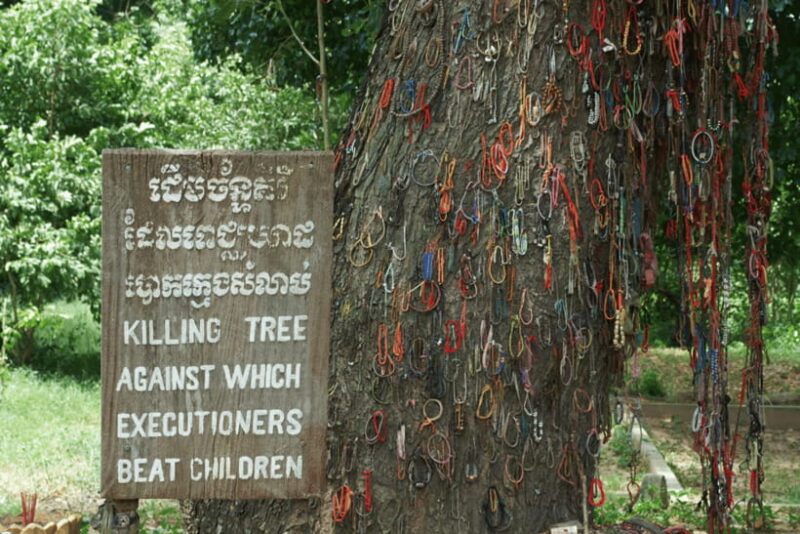 Phnom Penh: Killing Fields and S21 Genocide Museum Tour - Who Will Appreciate This Tour?