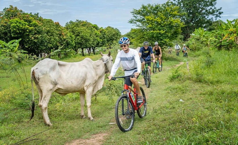 Phnom Penh: Mekong Islands Sunset Bike Tour include drinks - FAQ