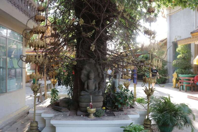 Phnom Penh Private Tour English Local Guide - Transportation & Group Size