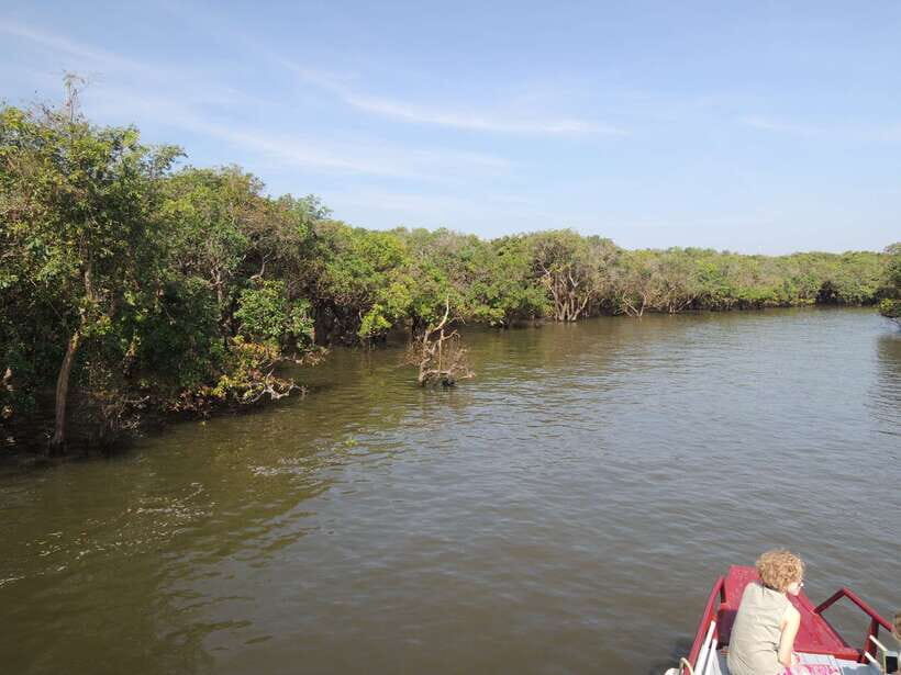 Phnom Penh to Siem Reap cruise/land tour (one way) - Phnom Penh to Siem Reap cruise/land tour (one way): A detailed look
