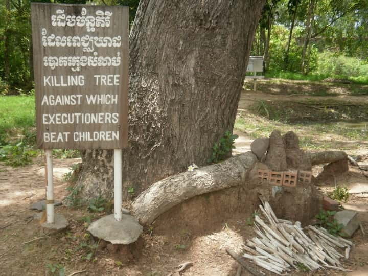 Phnom Penh's Killing Fields: 4-Hour Guided Tour - A Few Considerations