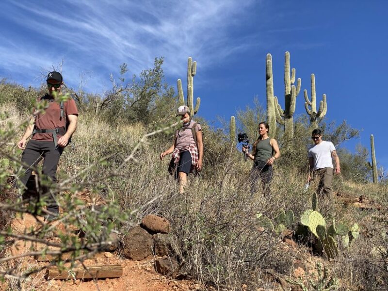Phoenix: Amazing Two-Hour Guided Hike in the Sonoran Desert - Key Points
