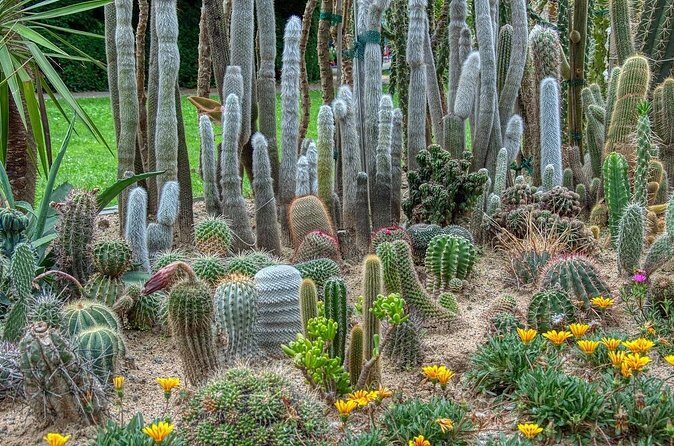 Phoenix Landmarks Tour Desert Botanical Garden - Final Thoughts