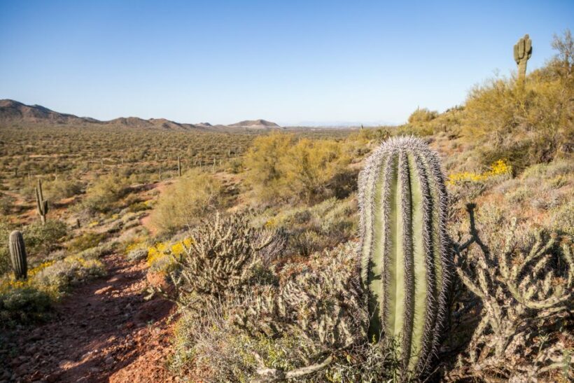 Phoenix/Scottsdale: Apache Trail Tour & Canyon Lake Cruise - An Introduction to the Tour Experience