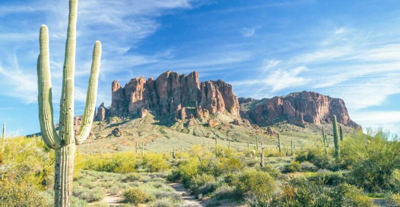 Phoenix/Scottsdale: Apache Trail Tour & Canyon Lake Cruise - The Value of the Experience