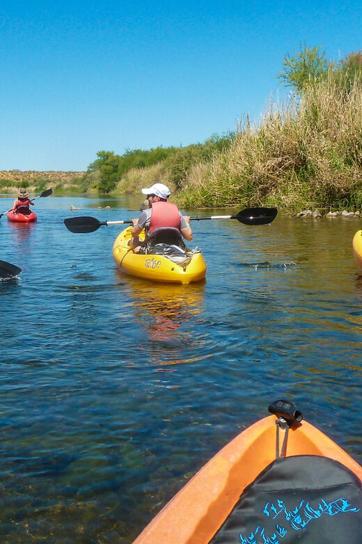 Phoenix: Self-Guided Kayaking Trip to Foxtail - What the Reviews Say