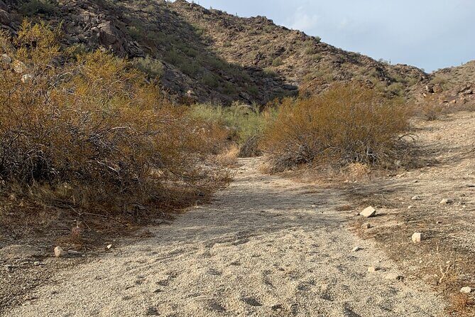 Phoenix South Mountain Hiking Tour Experience - Why This Tour Stands Out