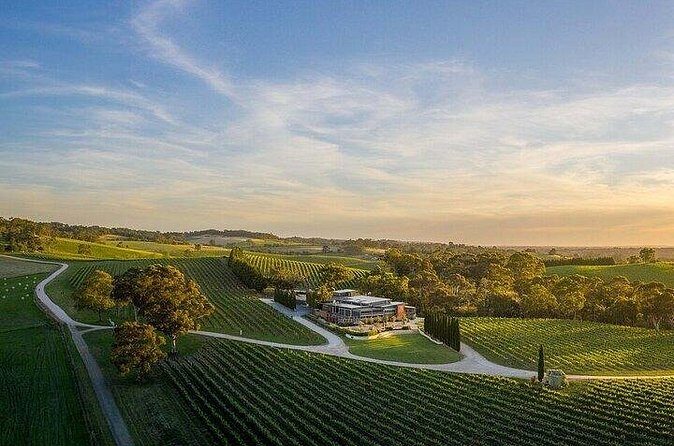 Phoenix Vortex to Vineyard Shared Tour - FAQ: Your Practical Questions Answered