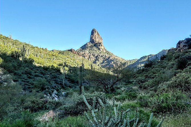 Phoenix Wilderness Hiking Tours - The Allure of the Superstition Mountains